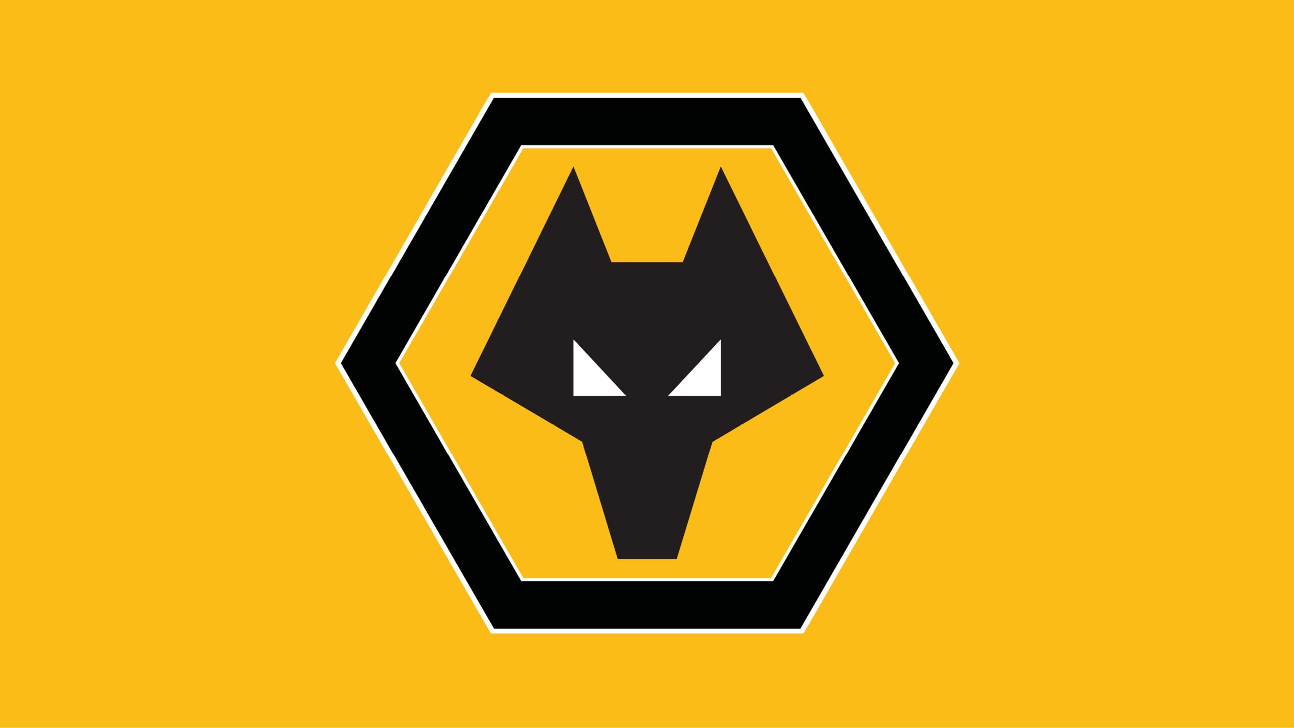 Wolves: Welcome to a Q&A before new season - BBC Sport