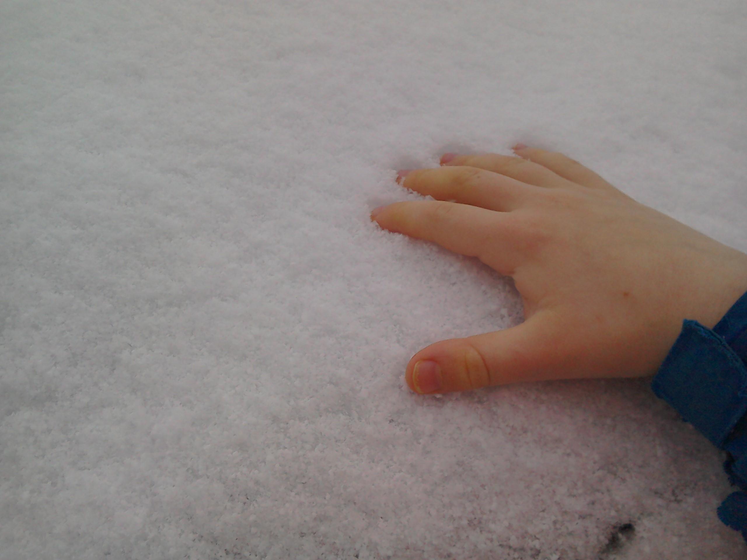 YOUR PICS: Have you had more snow? - BBC Newsround