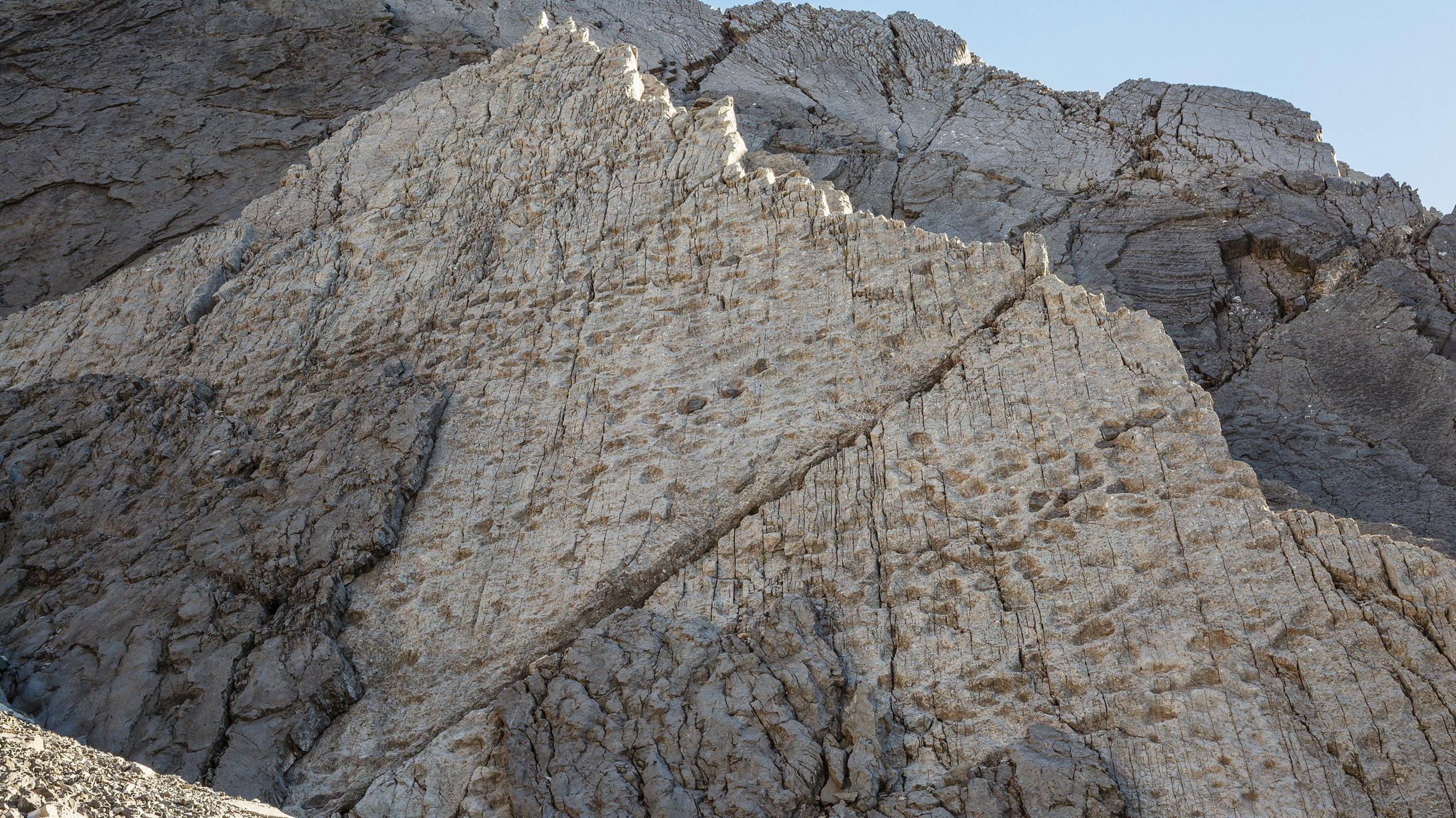 Stelvio national park: Thousands of dinosaur footprints found on ...