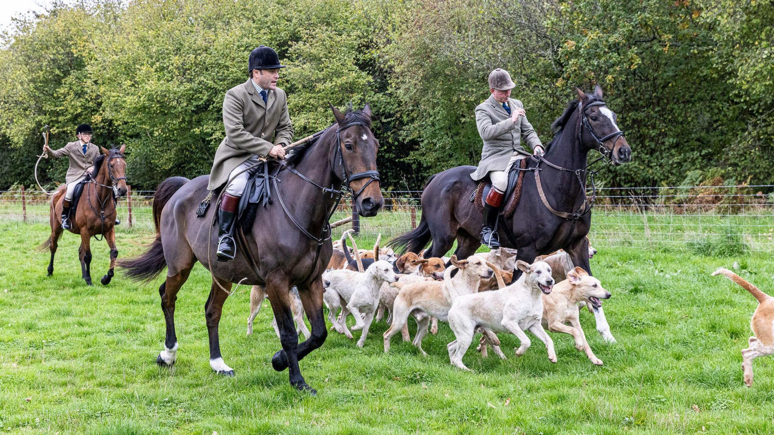 Holderness Boxing Day trail hunt takes place as ban looms - BBC News