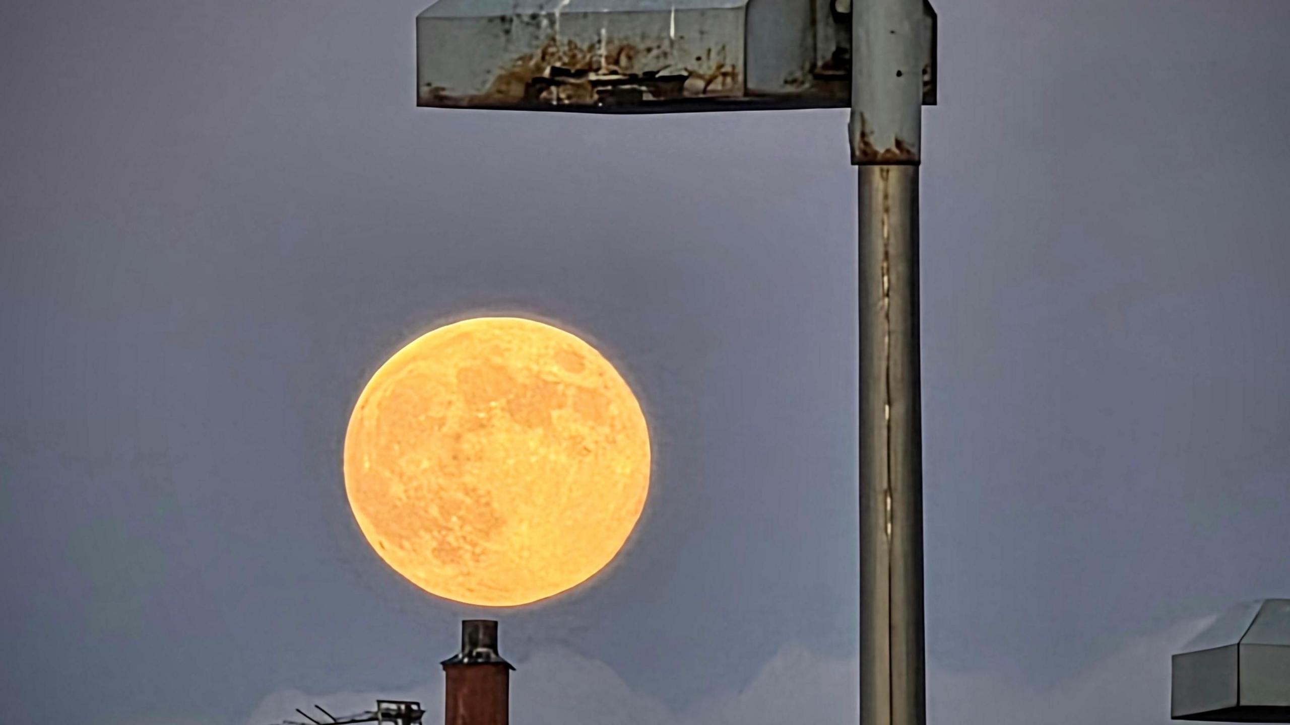 Cindy dollar stocking Two bbc and blonde.