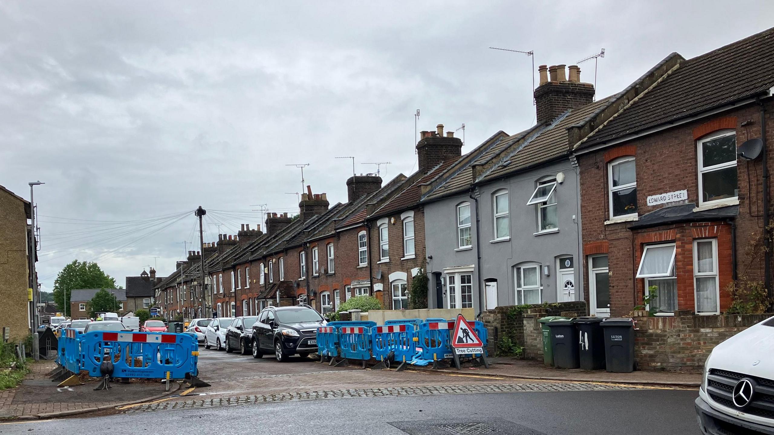 Luton residents upset by sudden removal of four trees - BBC News