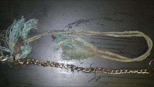 Dog found with chain embedded in neck - BBC News