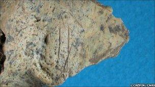 Cut marks on human bone (L.Crépin/CNRS)