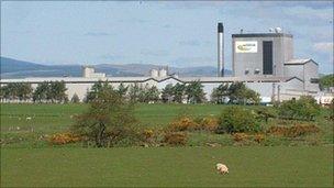 Milk Link announces Lockerbie cheddar cheese investment - BBC News