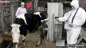 Belarus profile - BBC News