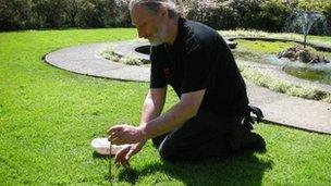 Menthol oil test to deter Penrhyn Castle moles from destroying lawns ...