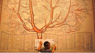 Curiosity draws Israelis to Hasidic Jewry exhibition - BBC News