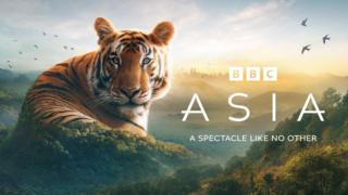 Asia Episode 4 The Tangled Worlds | Quiz | Did you know these facts ...
