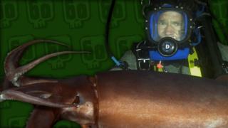Deadly 60 - CBBC - BBC