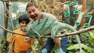 Go Wild on CBeebies