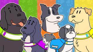 Dog Squad