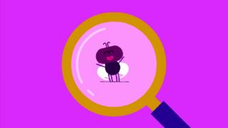 Maddie + Triggs - CBeebies - BBC