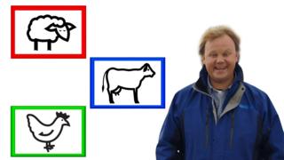 Play quizzes and learn Makaton - CBeebies - BBC