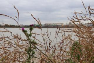 Princess Alice disaster: The Thames' 650 forgotten dead - BBC News