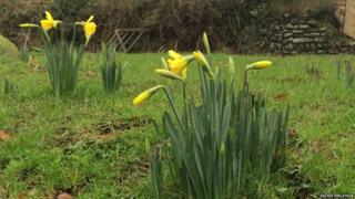 Your UK weather photos - BBC Weather