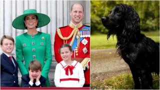 UK Royal Family: Royal pet dog Orla makes a rare appearance for ...