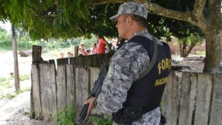 They are killing our forest, Brazilian tribe warns - BBC News