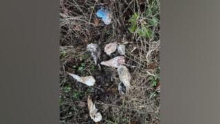 Bird of prey poisonings pose risk to people say Lincolnshire Police ...