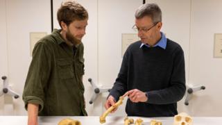 Life story of PG Tips chimp cared for at Twycross Zoo revealed - BBC News