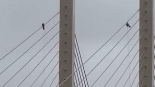 M25 Dartford Crossing closed as protesters climb bridge - BBC News