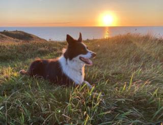 England's Big Picture: 4 September - 10 September 2023 - BBC News