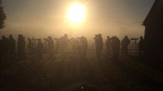 Cotswold sighting of rare blue rock thrush raises thousands for charity ...