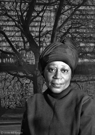 Portraits of Black Female Professors - BBC News