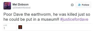 Widnes worm Dave wriggles into record books - BBC News