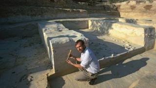 Fossils: What England's discoveries have told us about our past - BBC News