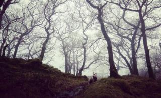 England's Big Picture: 20 - 26 February - BBC News