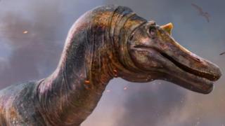 Dinosaur finding hints at why T-rex had small arms - BBC News