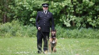 Stray dog who had 'tough start to life' joins Nottinghamshire Police ...