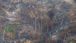 Climate change: Spike in Amazon emissions linked to law enforcement ...