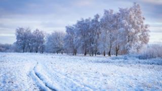 West Midlands photographers capture snow scenes - BBC News