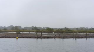 The Broads: 'Urgent action needed' over rising sea levels - BBC News