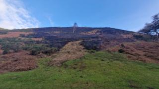 Shropshire fire service issues bonfire warning after grass fire - BBC News