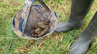 Northern Ireland's 700,000 fields to be tested in soil quality scheme ...