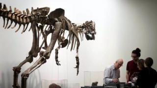 Fossils: Dinosaur discoveries in Ireland are a 'needle in a haystack ...