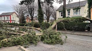 Storm damage: How to stay safe and what to do in a power cut - BBC News