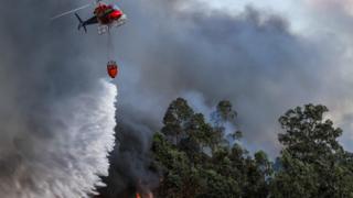 Portugal wildfires: three firefighters die as blazes 'rage across ...