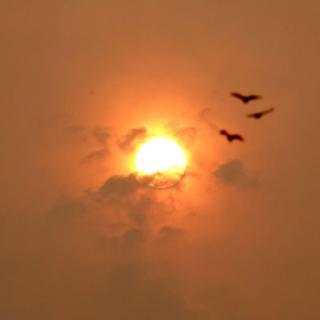 Red sun phenomenon 'caused by Saharan dust', analysis shows - BBC News