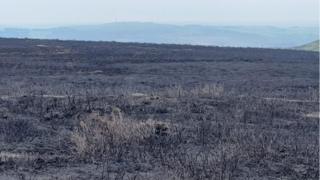 Majority of fire near Sheffield plantation extinguished - BBC News