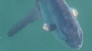 Paul Roggeman European Open Beach Championship 2025 to cast off - BBC News