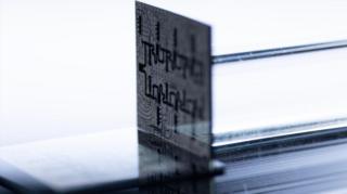 Amazon joins quantum race with 'cat-qubit' powered chip - BBC News