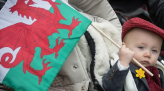 Rugby World Cup: What is the history of Wales' national flag? - BBC News