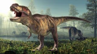 T-Rex: How long did it take the prehistoric creatures to reach ...