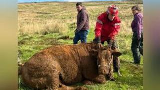 Boy, 8, dies after suffering shot to head at Warcop farm - BBC News
