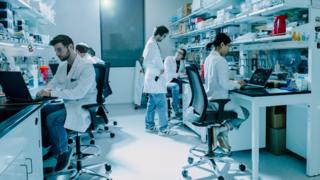 Tasmanian Tiger: Could the thylacine come back from extinction? - BBC ...