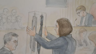 Murder-accused boy, 12, 'had blood on hand' after Wolverhampton ...